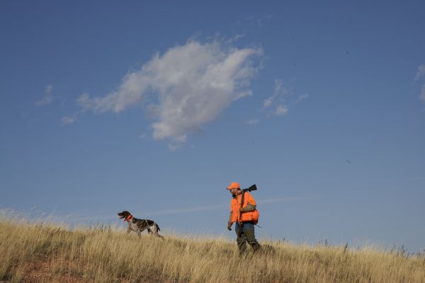 104a7dc0-74cb-4dad-bf4c-9a99c8e0ff4d