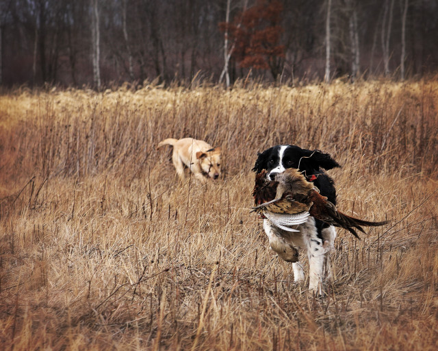 17dbe87b-b64a-4dfa-aada-a3f455ec5945