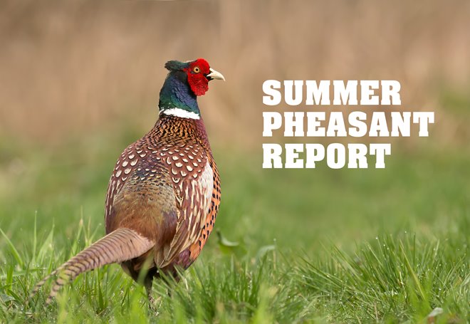 74ba78be-b4ef-4ad3-8240-ea795ac89a72