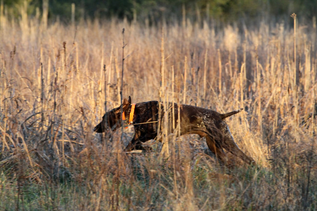 930b19a9-d1e5-4378-8c70-bb5a6d853ec8