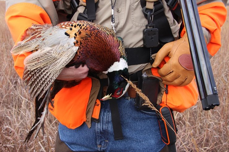 fac964e6-4935-4c4b-9770-a1c22bf1c847