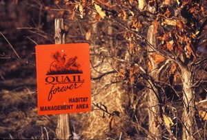 Quail Forever & Pheasants Forever’s Missouri State Habitat Convention ...