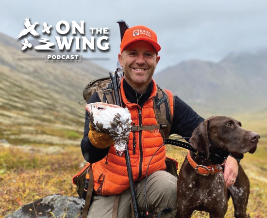 Upcoming Local Events