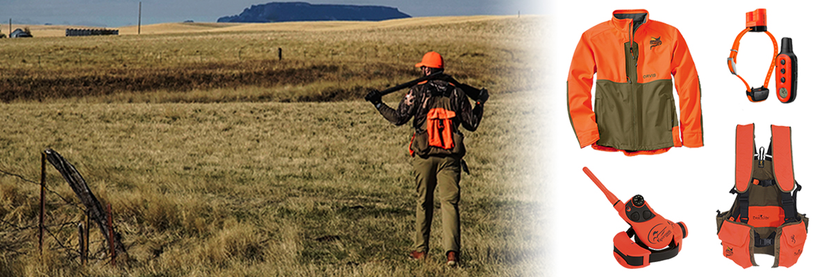 Gear Up for Roosters