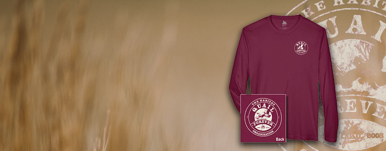 Special Donation Offer